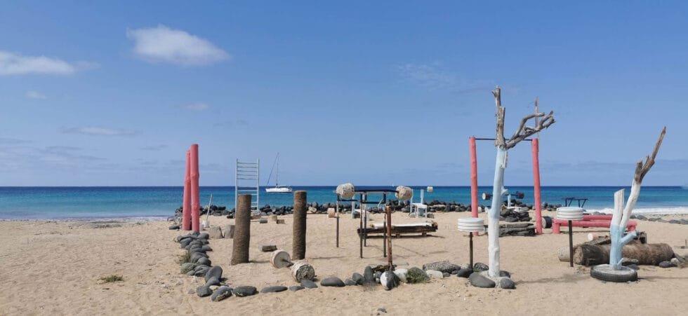 The Great Gym Built From Rubbish by Alcindo (Video)